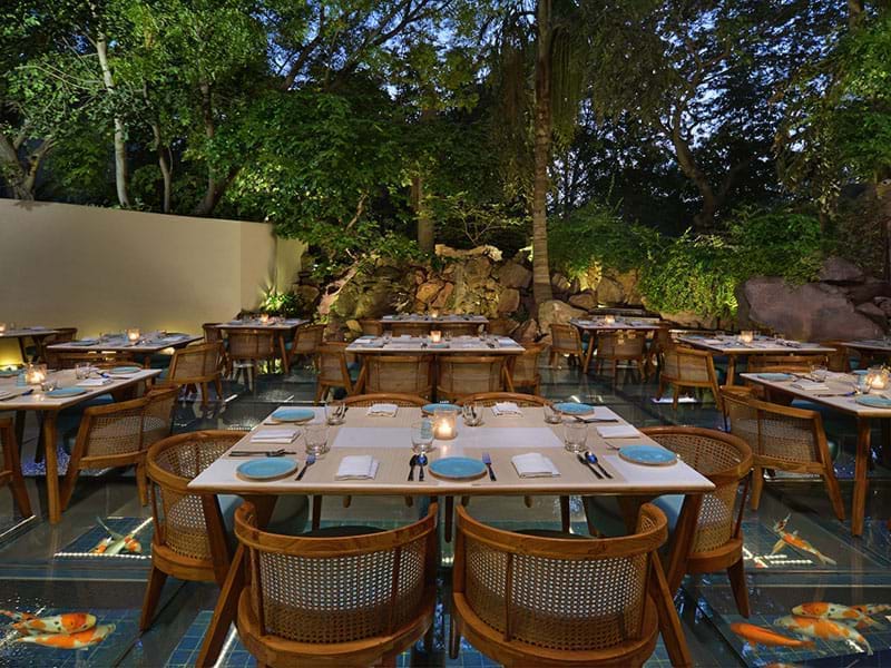 Explore Images and Video Gallery of Fortune Landmark Hotel, Ahmedabad